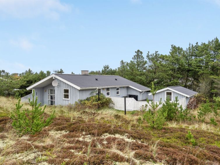 "Tino" - 900m From The Sea - Klitmøller
