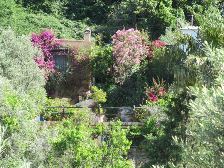 Gemütliches Ferienhaus In Tíjola Mit Grill, Garten Und Terrasse - Costa Tropical