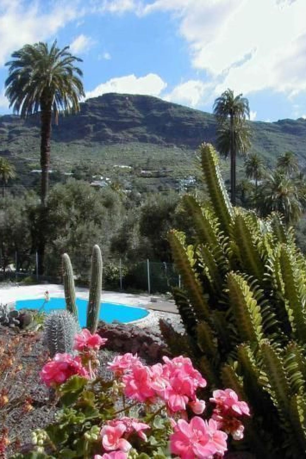 El Olivar - Gran Canaria