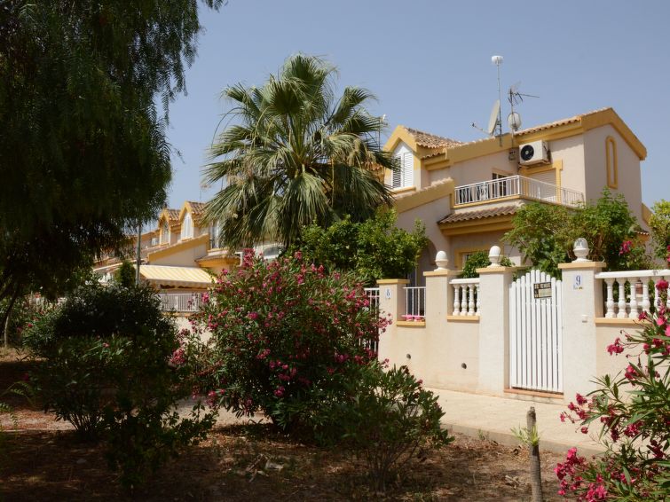 Olivos 8 - La Manga