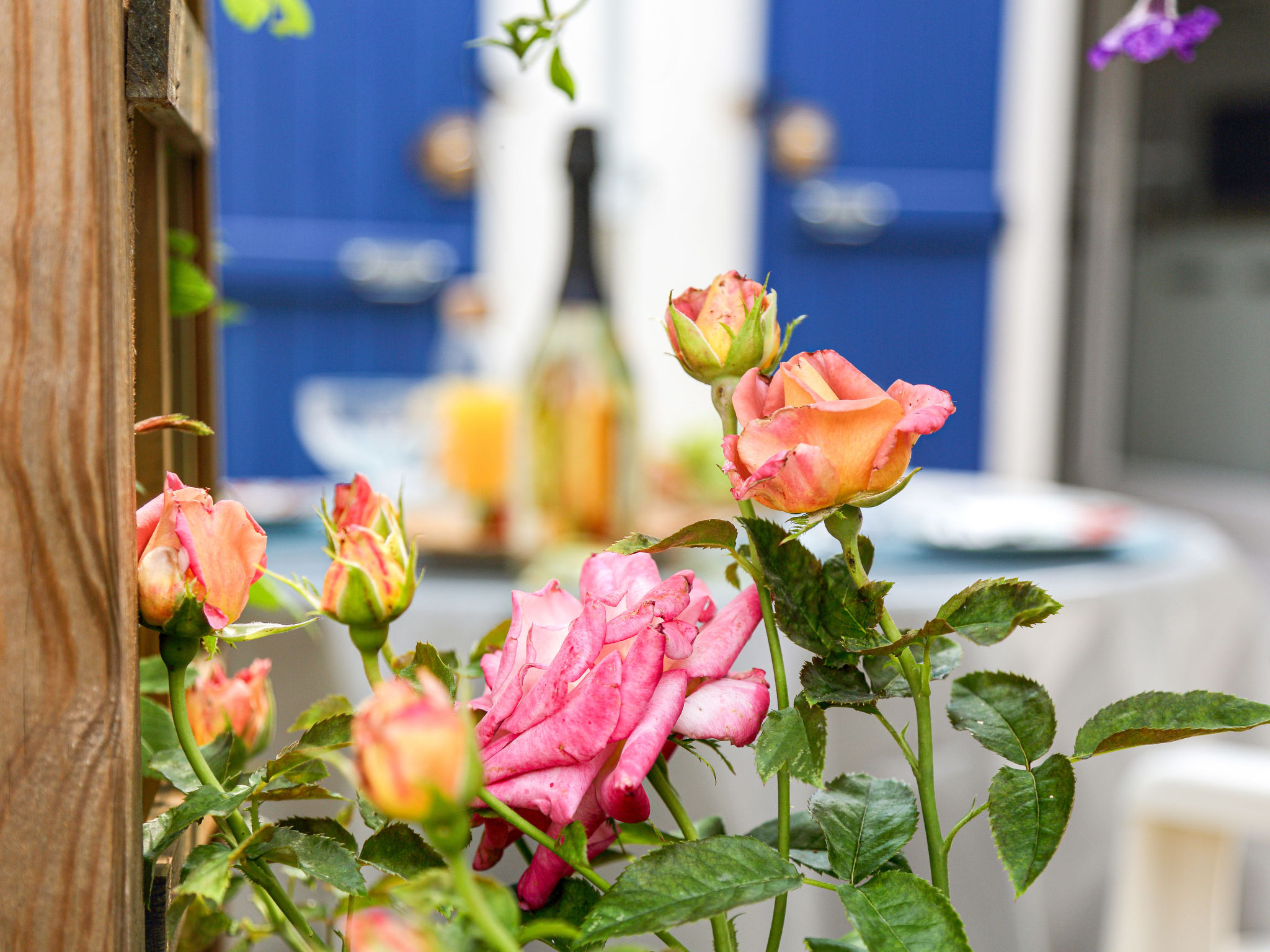 Jardin Secret - Pornic