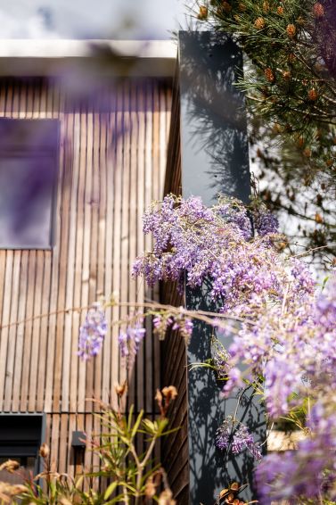 Villa Contis Plage 900m Vom Ozean Entfernt - 3 Schlafzimmer - Lit-et-Mixe