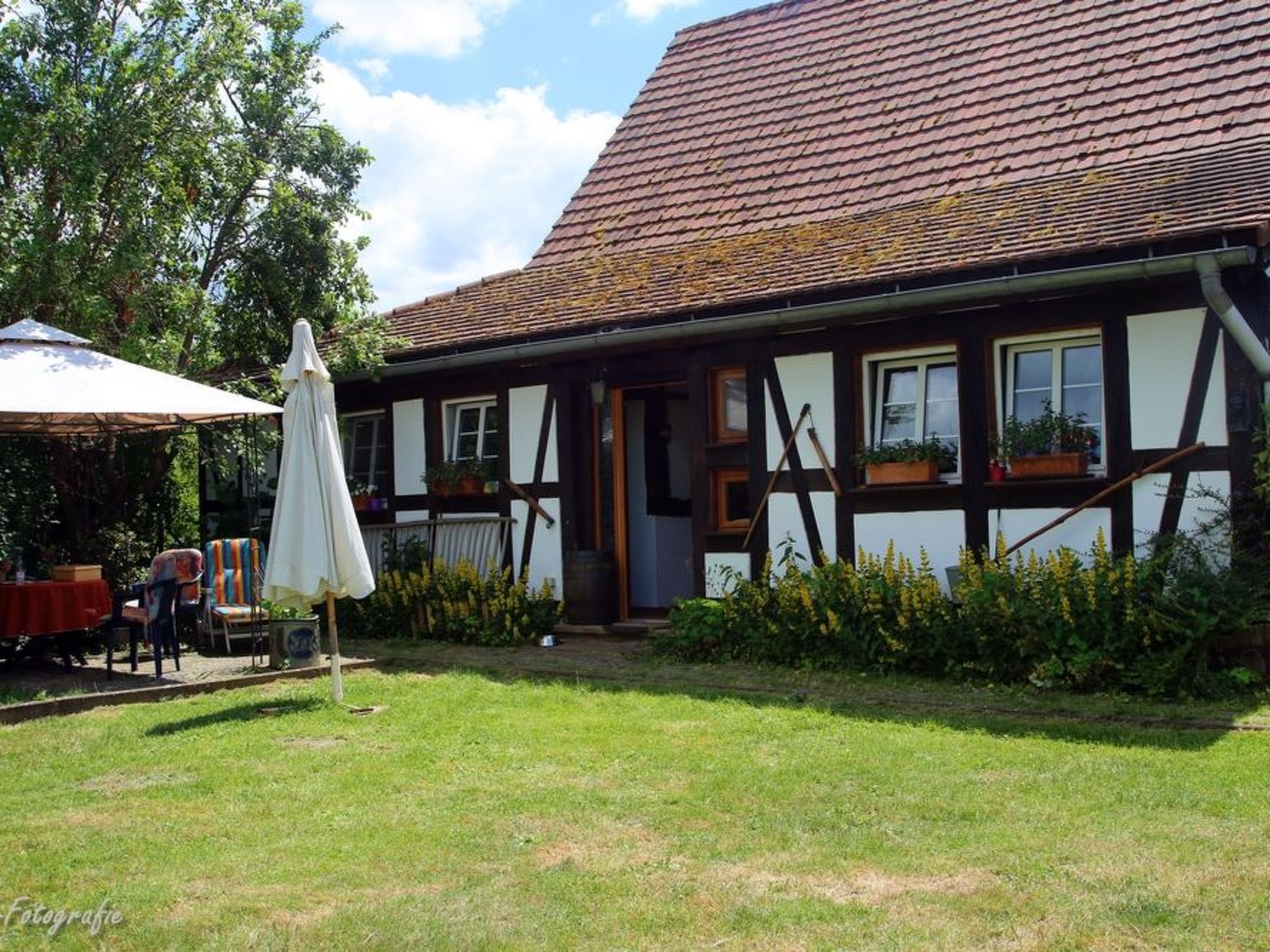 Gemütliches Appartement In Betschdorf - Haguenau