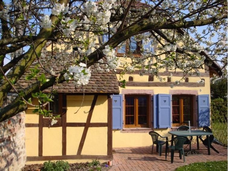 Gite "Sonneblüem Un Pfefferminz" - Colmar