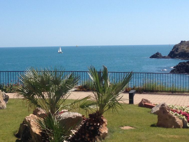 Mit Blick Auf Das Wasser - Collioure