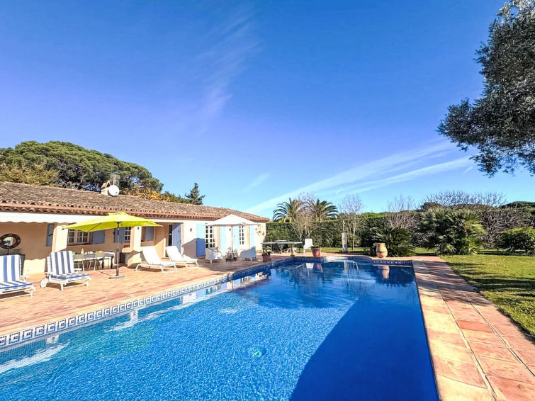 Le Grand Pin - Ramatuelle