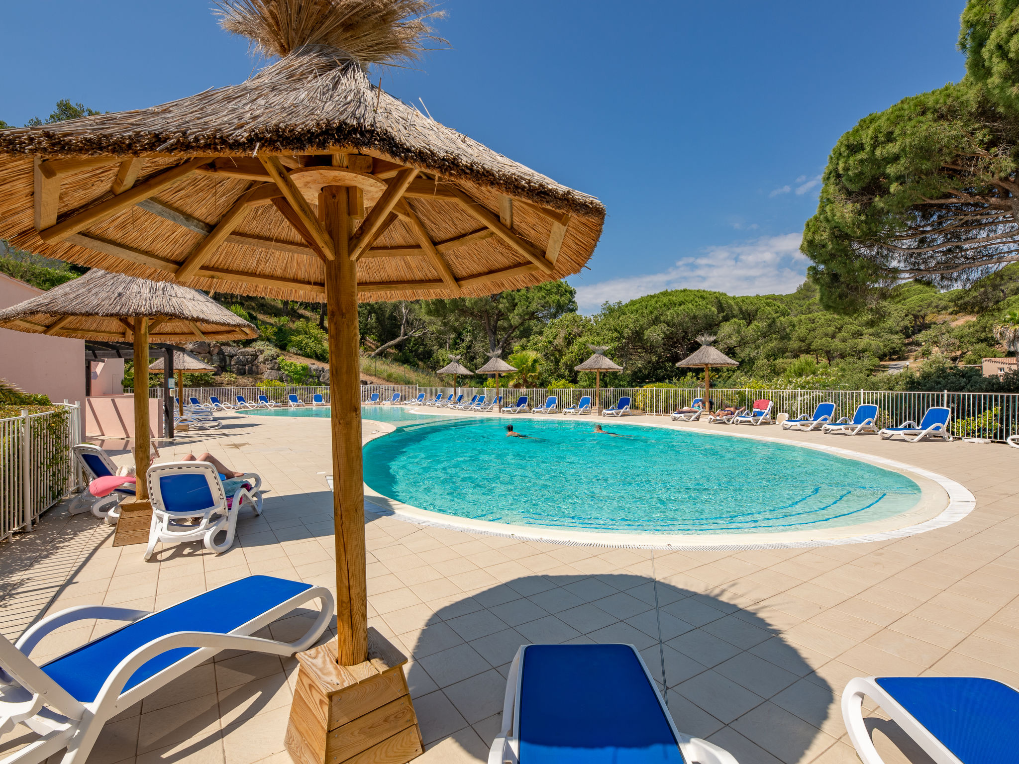 Les Eucalyptus - Puget-sur-Argens