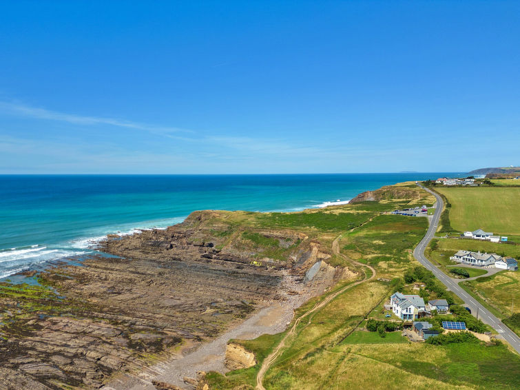 Driftwood - Bude