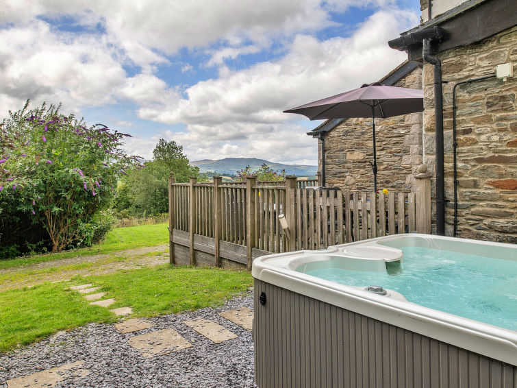 Buzzards View - North Wales
