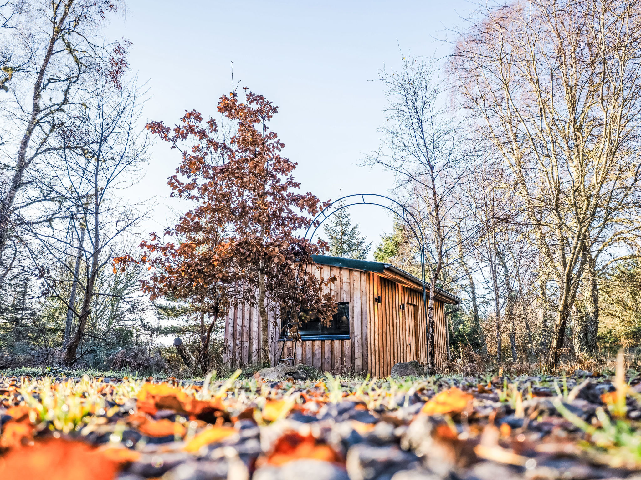G-wilderness Cabin - Loch Ness