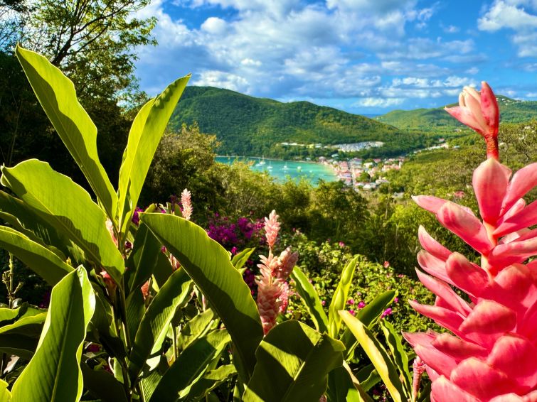 Apartment "Secret Lodge" Mit Blick Auf Das Wasser - Deshaies