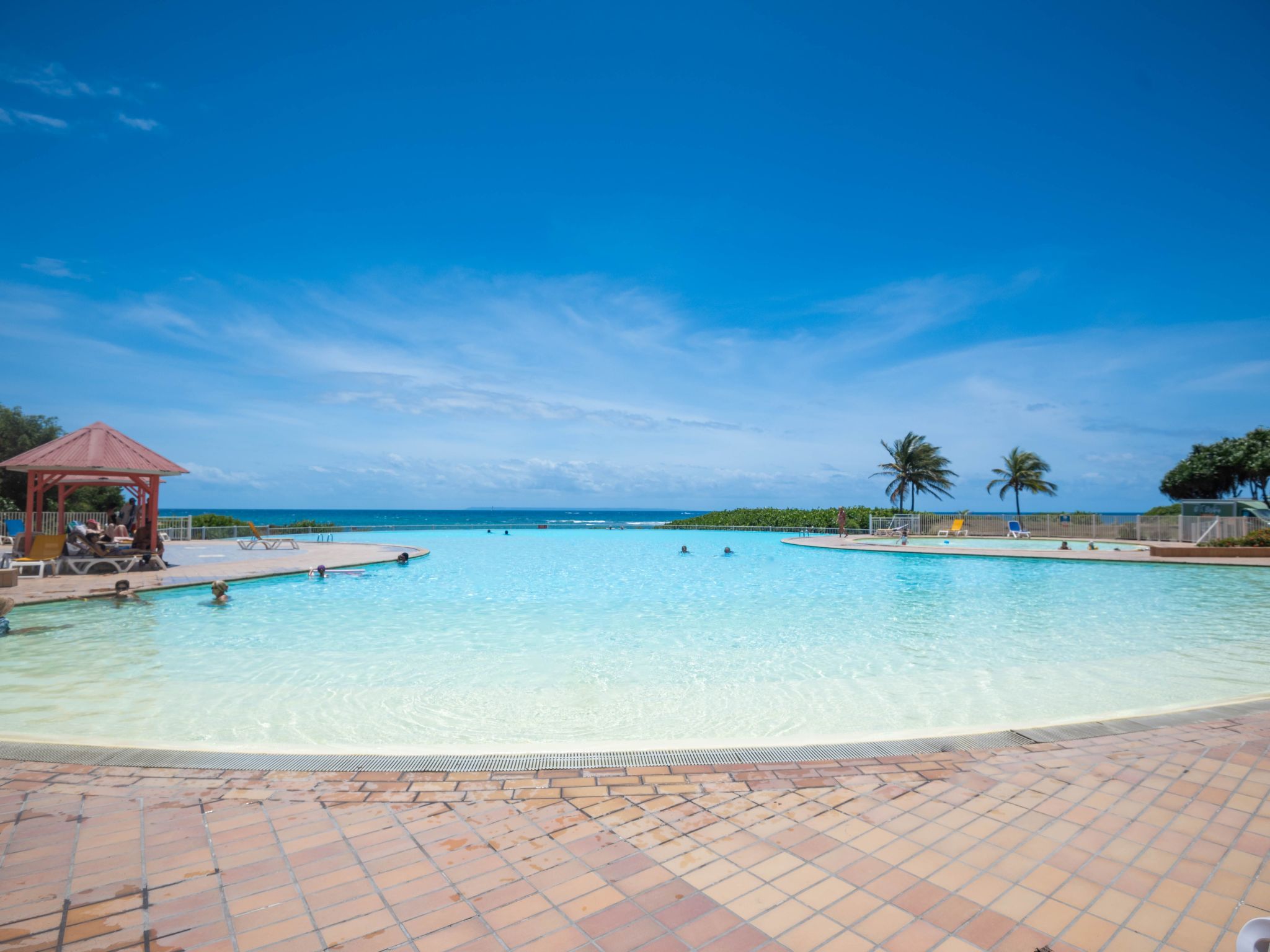 Der Tropische Flamboyant - Saint-François