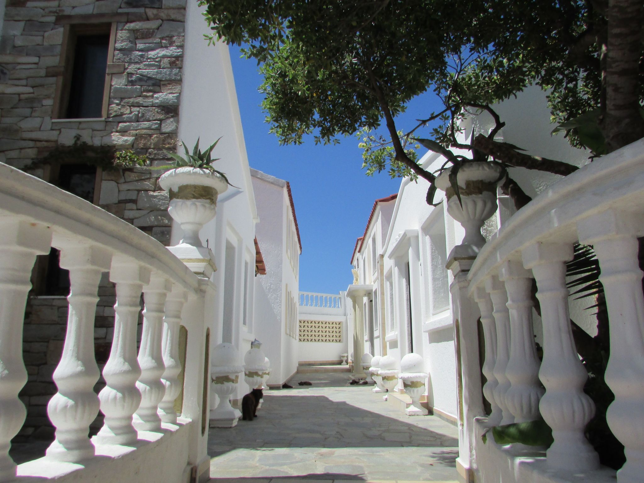 Castellino-studios - Faliraki