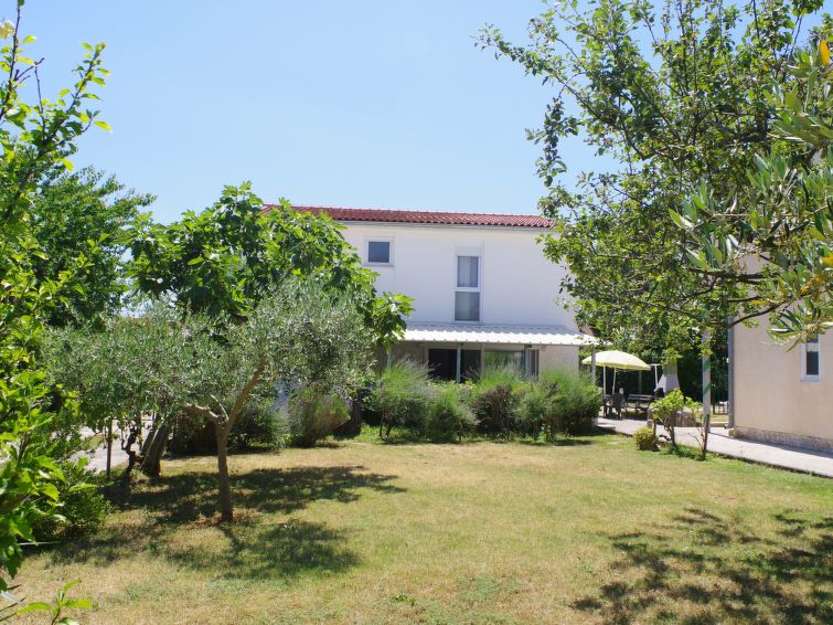 In Premantura - Premantura