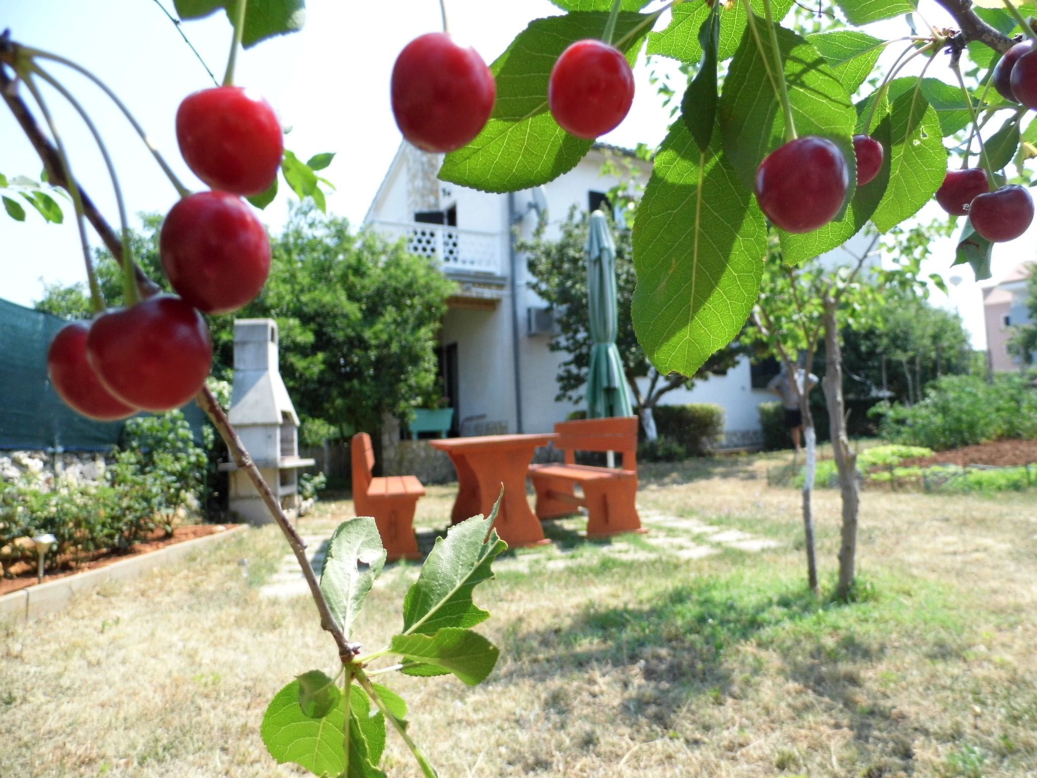 Schöne, Gemütliche Ferienwohnung "Mira B" Mit Garten - Malinska