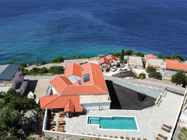 Delfin - Croatia
