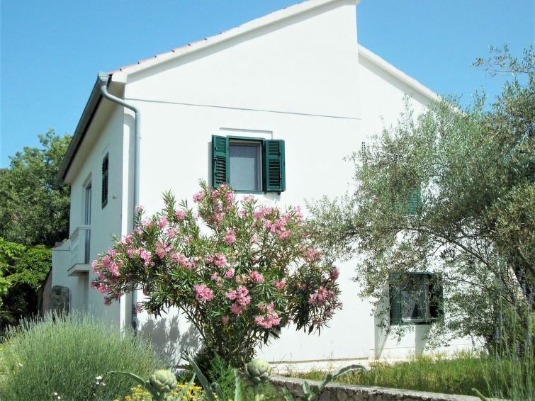 Rustikales Haus In Lukoran Mit Privatem Parkplatz - Dugi Otok