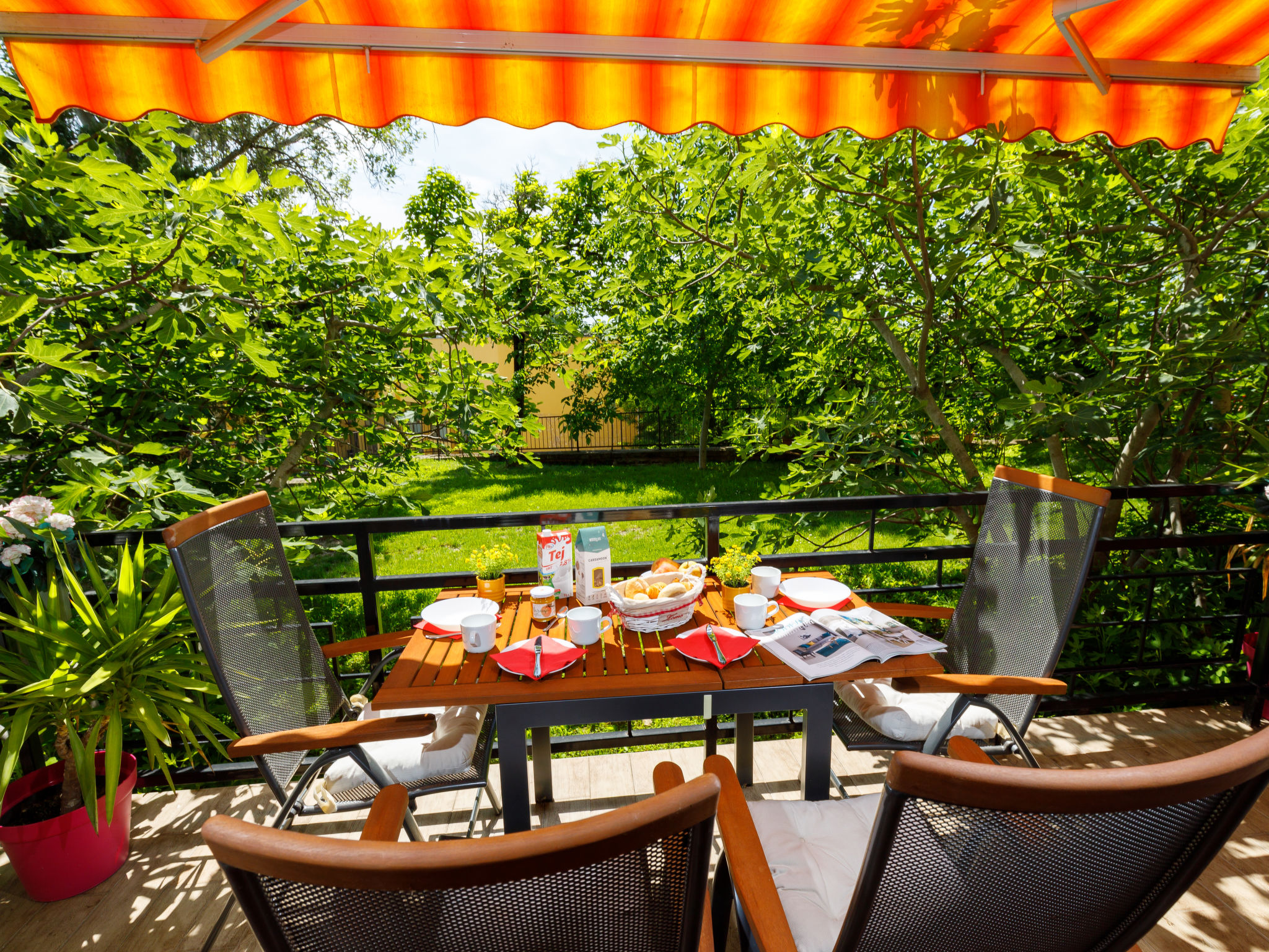 Lily - Balatonfüred