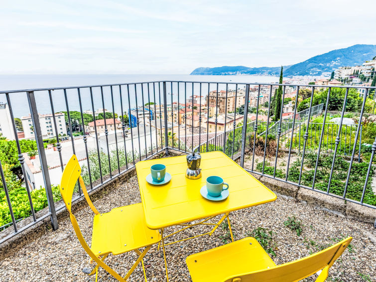 House Broom - Alassio