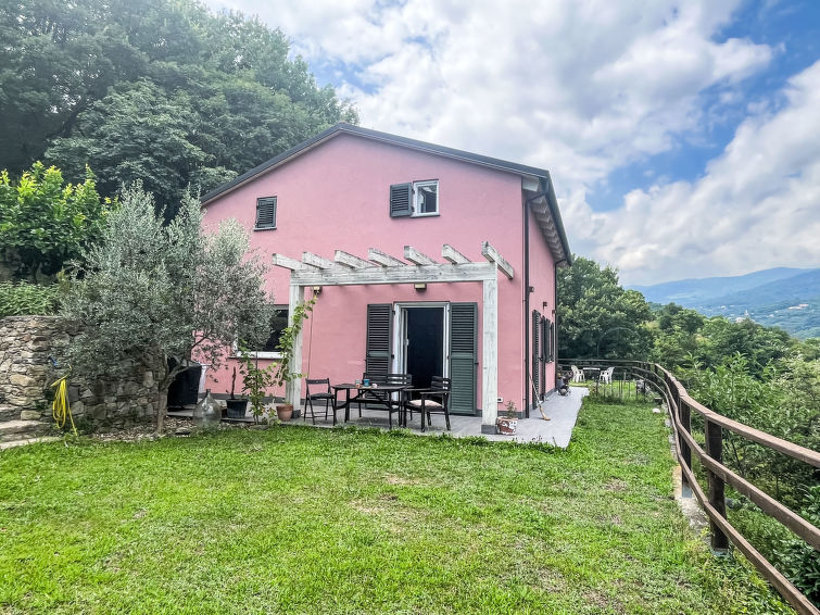 Le Radici Dell´ulivo - Borgio