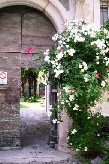 Wohnung Caprifoglio In Miasino - Orta San Giulio