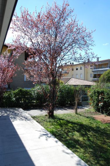 Wohnung 'Garda' Mit Terrasse - Moniga del Garda