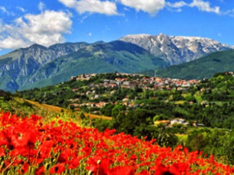 Wohnung Mit Privatparkplatz Und Panoramablick - Abruzzo
