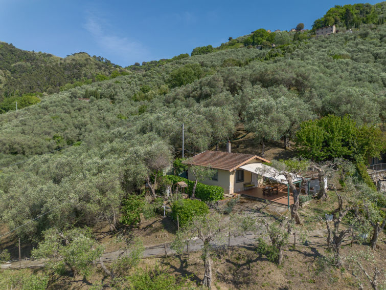 Bella Casina - Camaiore