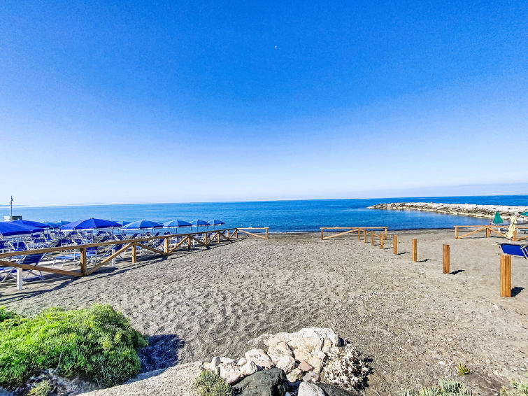 Ginepro Sul Mare - Cecina