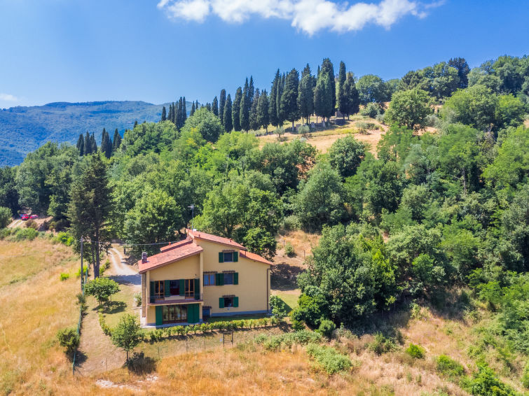 Giorgina - Toscana