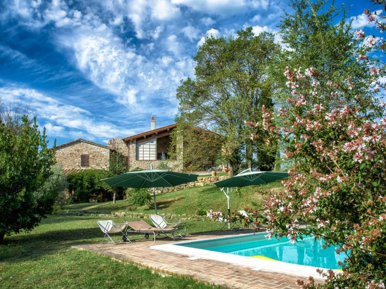 L'ulivo - Umbria