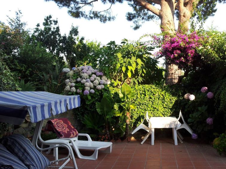 Ferienwohnung La Terraza Mit Terrasse - Ischia