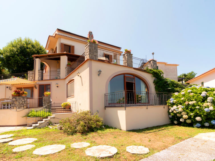 Blue Dream - Sorrente