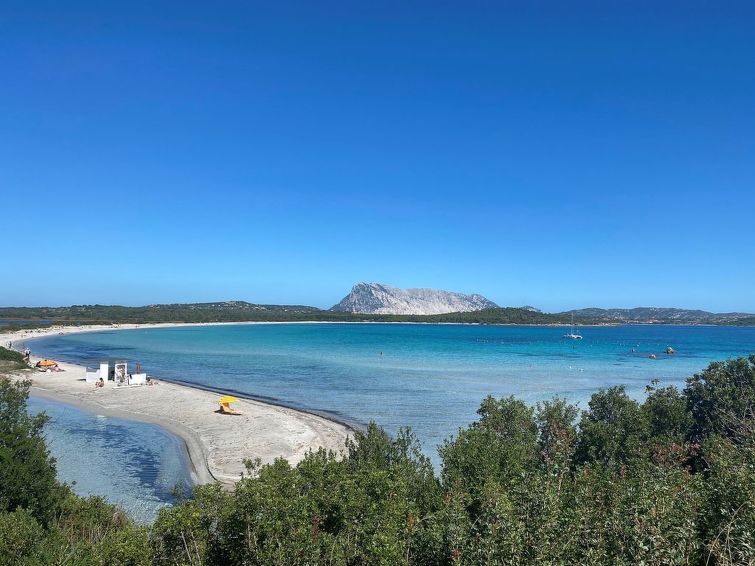 Villa Asta, Meerblick Und Schwimmbad - San Teodoro