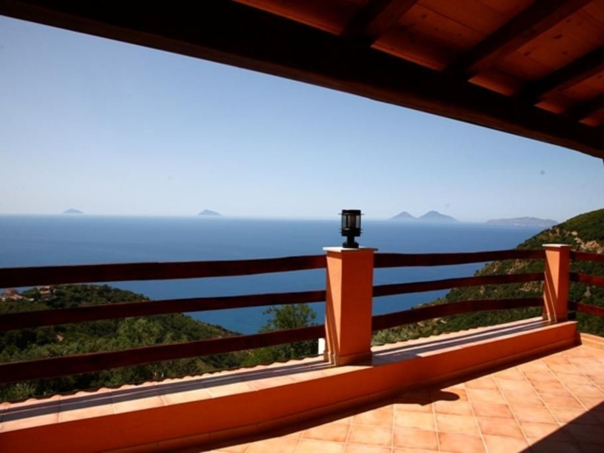 Flacher Kirschbaum - Gioiosa Marea