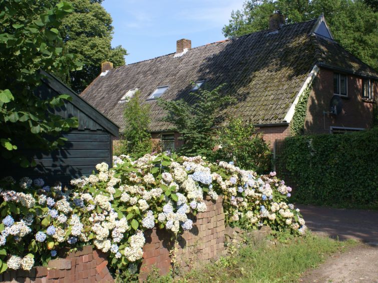 Geschmackvoll Eingerichtetes Bauernhaus Aus Dem 19. - Drenthe