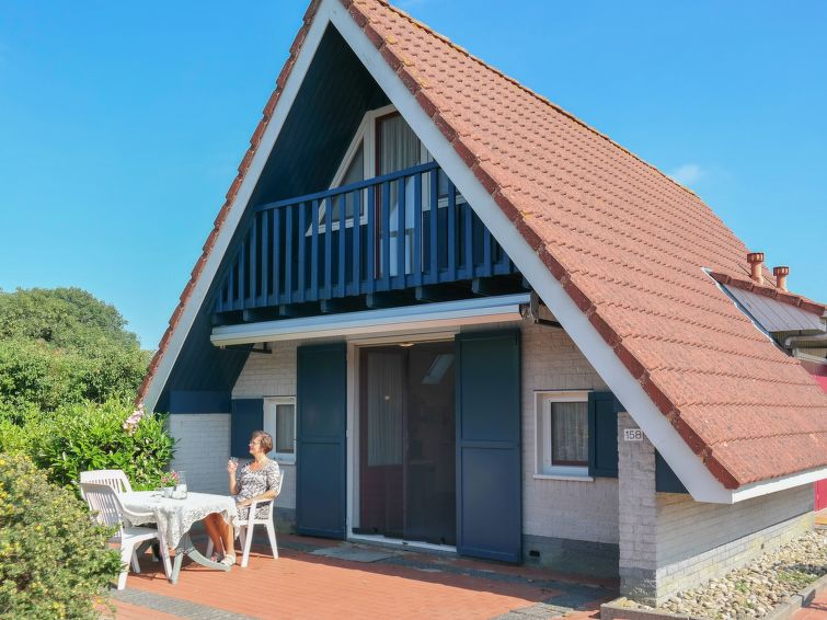 158 Schafssicht - Ameland