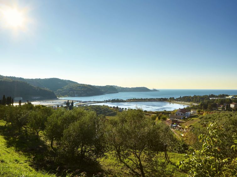 Salinera - Istria