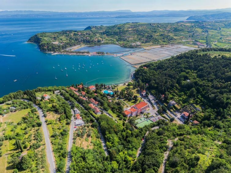 Salinera - Istria