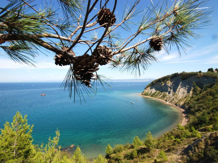 Salinera - Istria