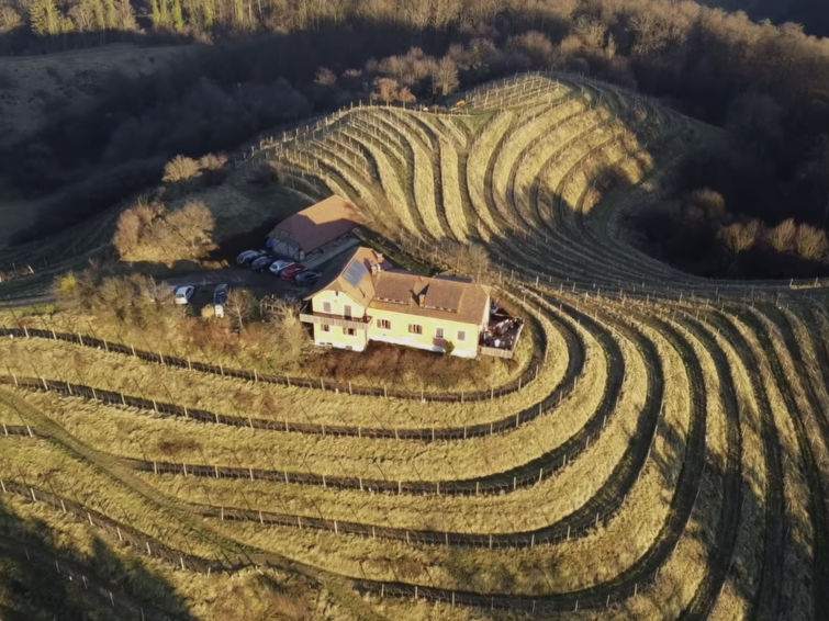 Für 8 Personen  + 4 Kinder Ca. 200 M&sup2; In Ptuj, Untersteiermark (Drau Slowe - Slowenien